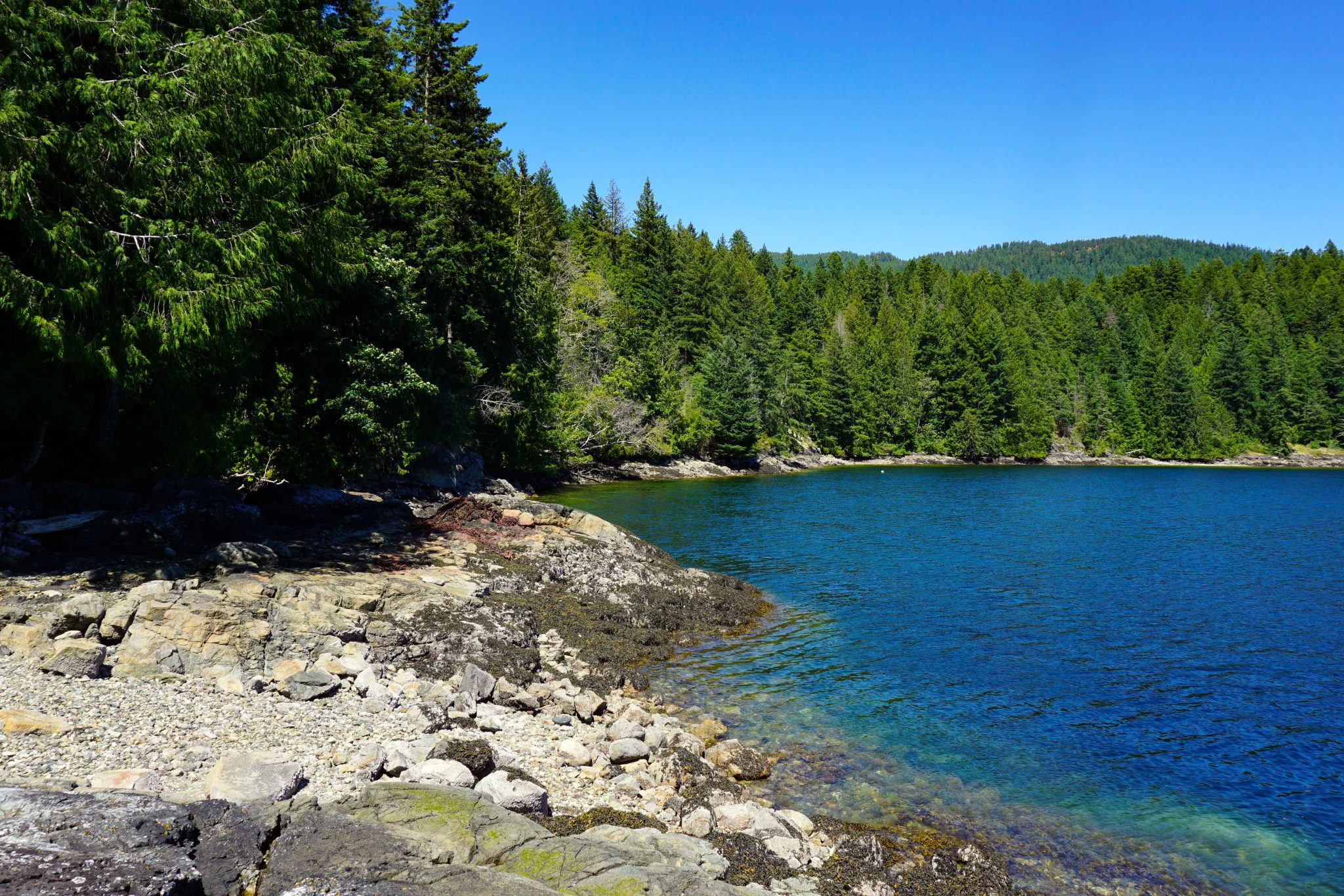Hiking from Saltery Bay to Fairview Bay Hut | Sunshine Coast Trail