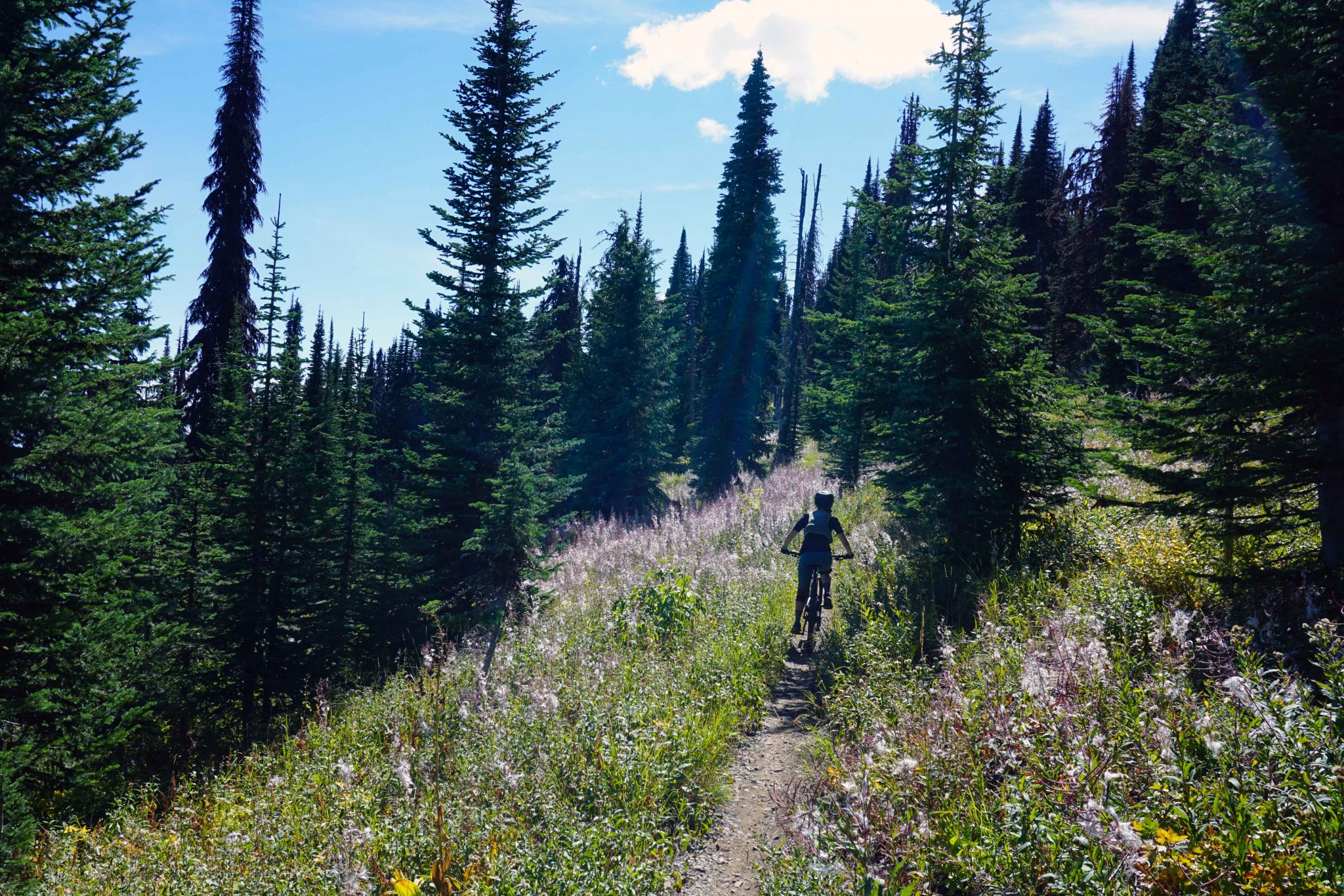 Mountain Biking the Seven Summits Trail in Rossland